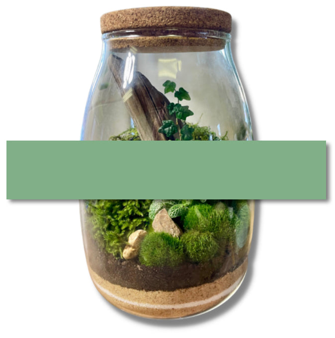 WORKSHOPS – Clover + Booch